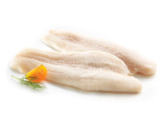 2-8 oz. Fish - Food Library - WOW Food Library